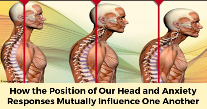 How the POSITION of our HEAD and ANXIETY Responses mutually influence ...