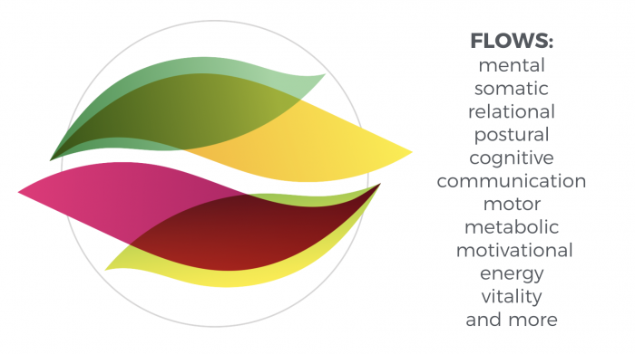 Two techniques to regulate thought flows | Real Way of Life
